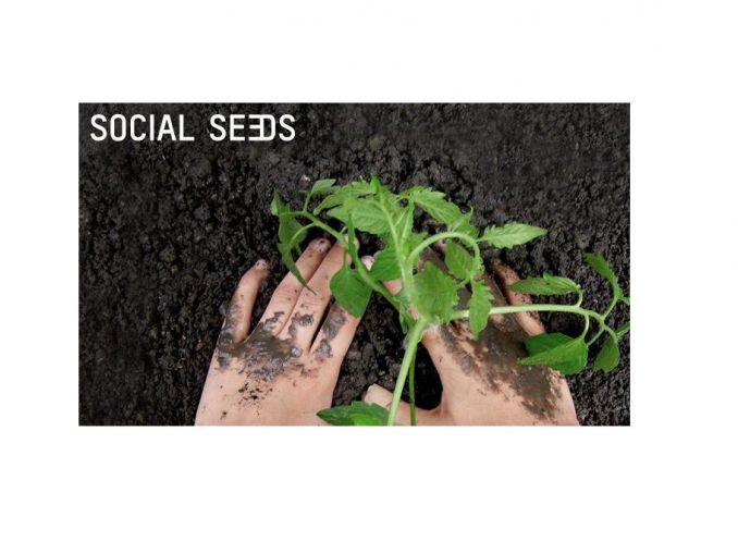 Social Seeds 15.11.2010 | 17:00 - 20:00 Uhr